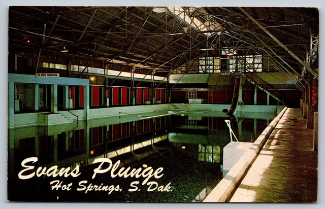 VINTAGE EVANS PLUNGE Hot Springs South Dakota 3-D Postcard £11.85 ...