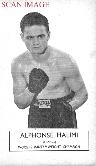 BOXING ALPHONSE HALIMI 1958 Photo Print World Bantamweight Champion 716 ...
