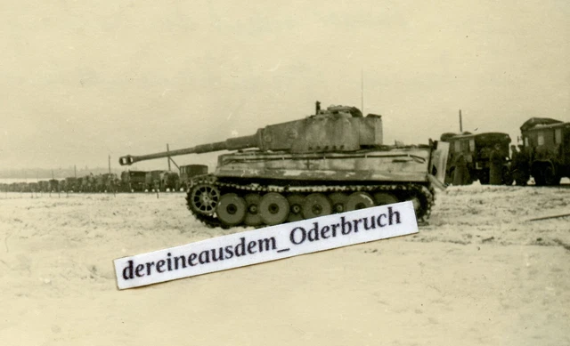 K10 FOTO WH südl. Leningrad s. Panzer PzKpfw VI Tiger sichert den ...
