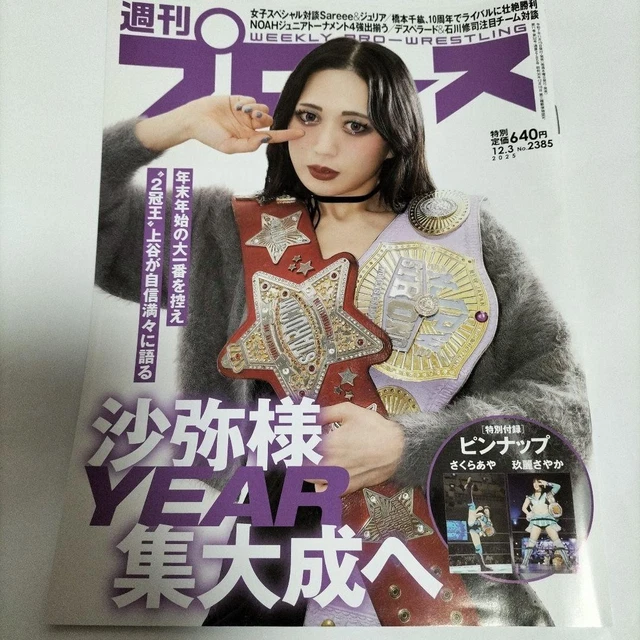 MAGAZINE HEBDOMADAIRE PRO Wrestling avec pin-up, d'occasion, 2385 ff6 ...