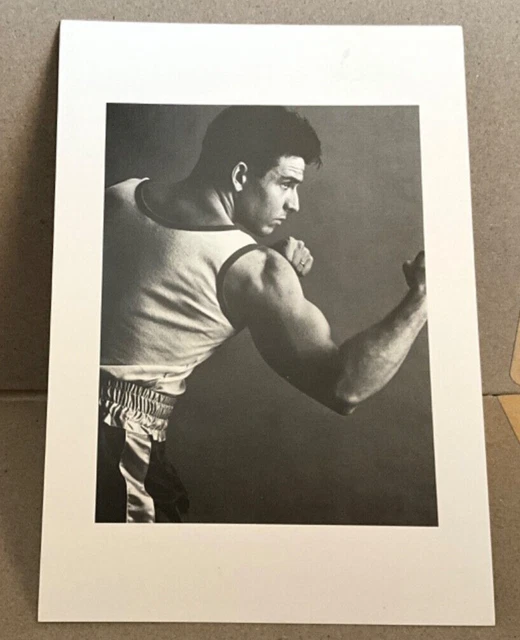 VINTAGE GAY BOXER in Fight Pose by Paul Stanley 1980s photo POSTCARD 26 ...