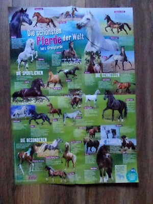 TIERPOSTER DIE SCHÖNSTEN Pferde der Welt Medizini 2022-10 Poster ...