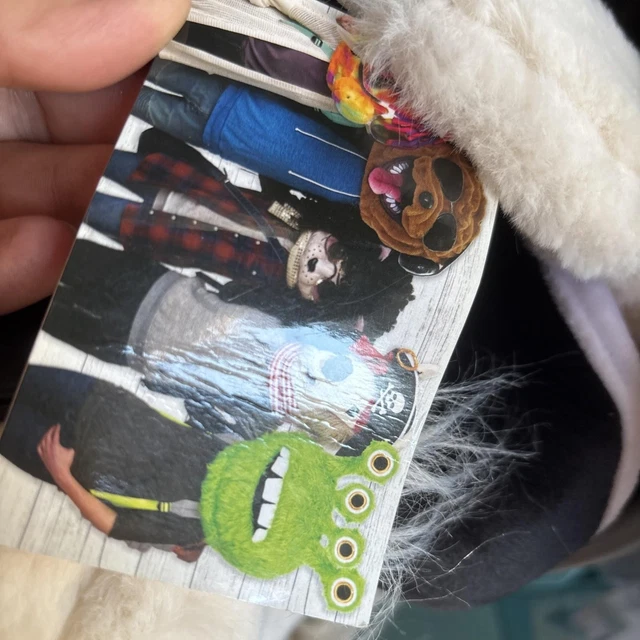 NEW PIRATE JOLLY Llama Mascot Costume Head Plush Halloween Mask £13.15 ...