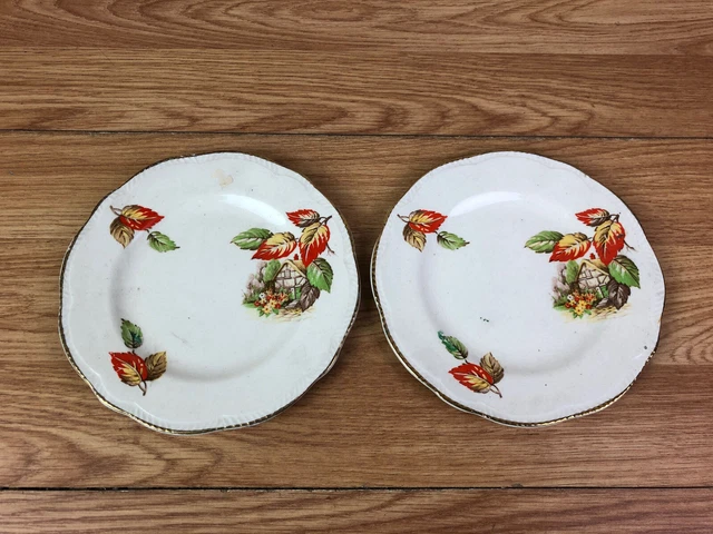 PAIR OF WINTERTON Longton Plates Country Cottage Design £17.99 ...