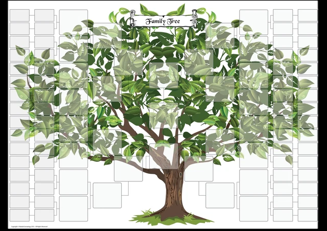 TREE OF LIFE 7 Generation Family Tree Sticker Chart EUR 19,08 - PicClick DE