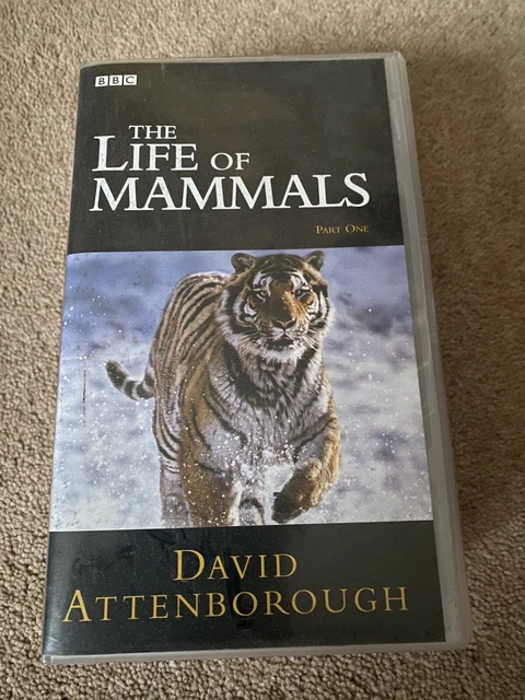 THE LIFE OF MAMMALS Part One 1 David Attenborough BBC Double PAL VHS ...