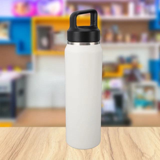 GB INSULATED WATER Bottle SUS316 SUS304 Stainless Steel Press Type 520ml Large £20.04 - PicClick UK