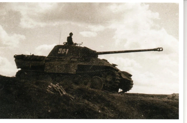 REPRO FOTO PANZER Wehrmacht Soldaten Panther Panzer Wiking WW2 EUR 2,99 ...