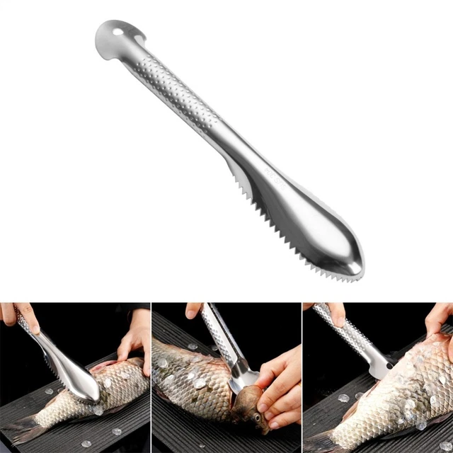 MESS FREE FISH Scales Remover with Specially Designed Catching Grooves ...
