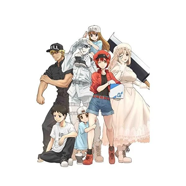 NEW CELLS AT Work Complete Blu-ray Box Limited Edition Booklet Japan ...