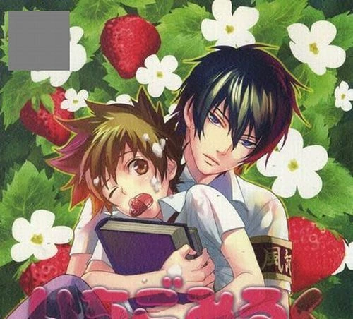 REBORN ! NEGAHYST Doujinshi (Hibari x Tsuna), lait Ichigo EUR 15,36 - PicClick FR