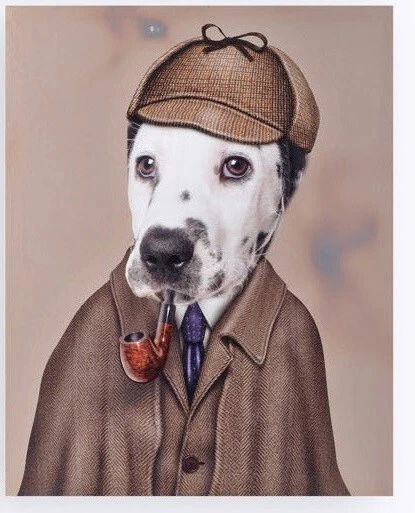 CADRE TABLEAU TOILE Chien déguisé - humour - 50 x 40 cm - animal ...