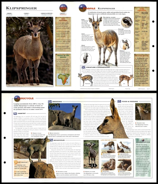 KLIPSPRINGER #208 MAMMALS - Wildlife Explorer Fold-Out Card £2.49 ...