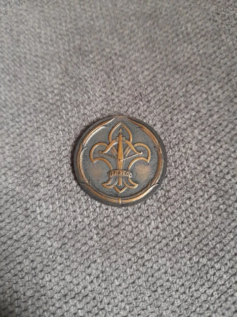 1957 SWEDISH SCOUT Medallion Var Redo Westins Stockholm Sutton Park ...