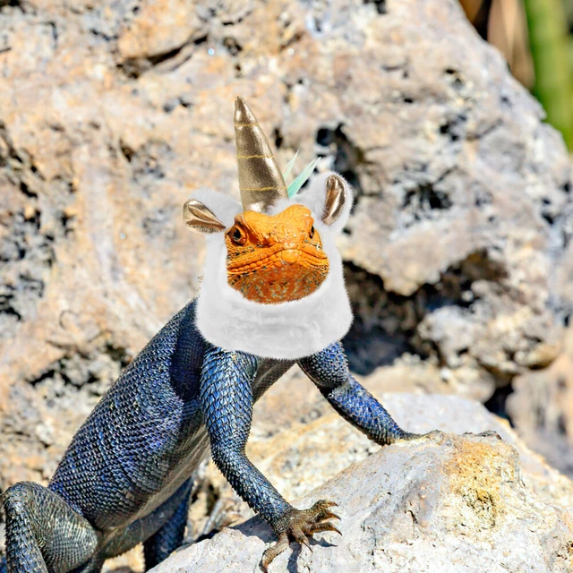 LIZARD HAT PLUSH Chinchilla Costume Accessories Guinea Pig Pet Reptile ...