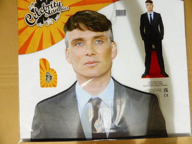 CILLIAN MURPHY CELEBRITY Lifesize Cardboard Cutout / Standee *Damaged ...