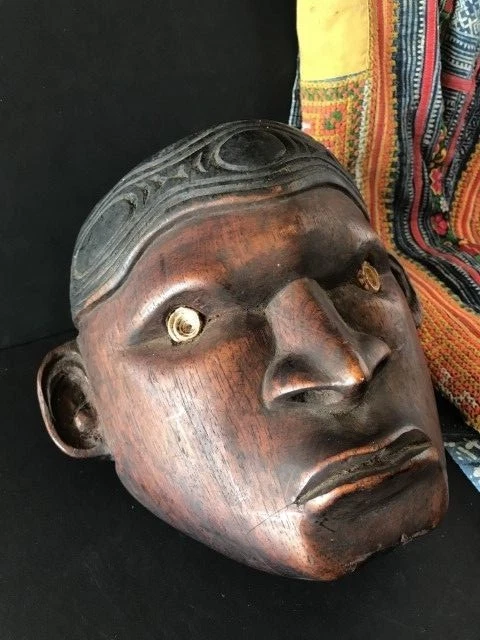 OLD CARVED WOODEN Trophy Head with Shell Eyes …beautiful collection ...