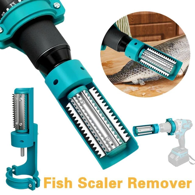 +STAINLESS STEEL FISH Scale Remover Scaler Scraper Descaler Home ...
