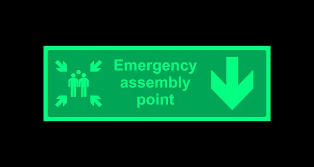 EMERGENCY ASSEMBLY POINT directional sign Down Safety ...