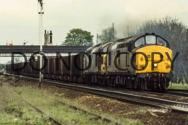 UK DIESEL TRAIN Railway Photograph Of Class 37 Loco 37250. Rm37-859 £1. ...