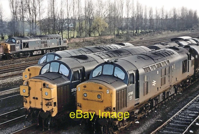 PHOTO RAILWAY 6X4 Class 37 37006 079 and 165 at Holgate 3/4/81 £2.00 ...