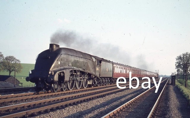 ORIGINAL 35MM RAILWAY SLIDE LNER STEAM LOCO 60021 "WILD SWAN" on 7/5/63 ...