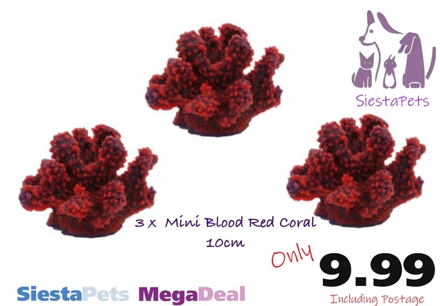 ROSEWOOD BLUE RIBBON Resin Coral Aquarium Fish Tank Ornament £6.00 ...