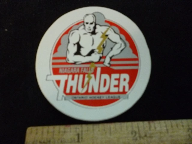 NIAGARA FALLS THUNDER logo decal sticker defunct OHL team $5.00 ...