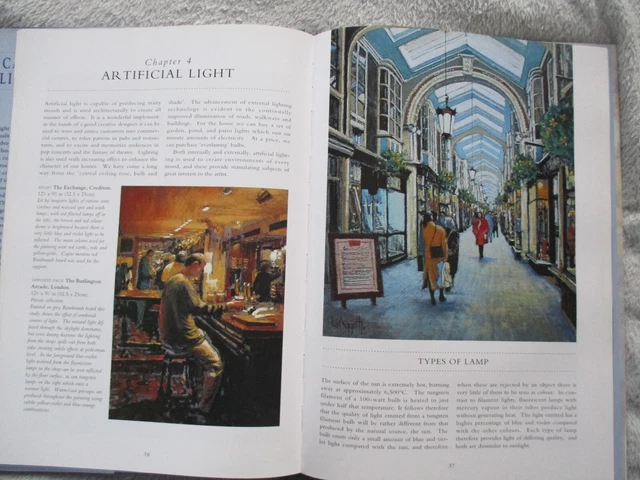 CAPTURING THE LIGHT in Pastel par Lionel Aggett (couverture rigide ...