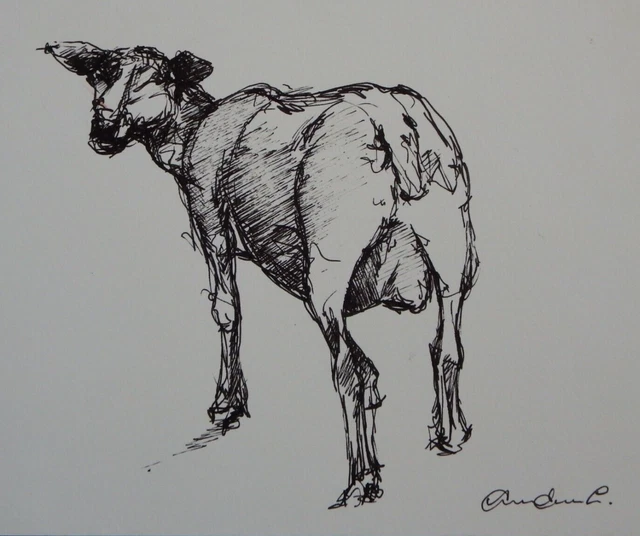 ORIGINAL SIGNED SMALL pen & ink drawing sheep back view on paper £19.99 ...