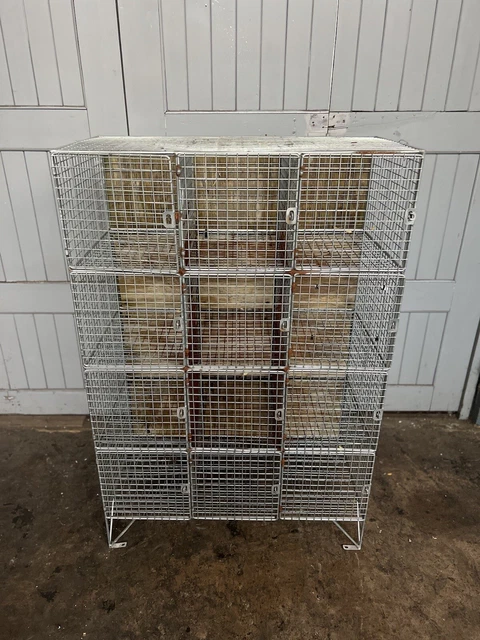 INDUSTRIAL GALVANISED WIRE Mesh Lockers Retro Vintage Storage Cage ...
