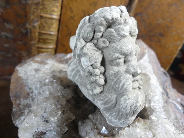 GAMBIER PIPE DE COLLECTION TERRE CUITE SCULPTEE ref 386 silene grande ...