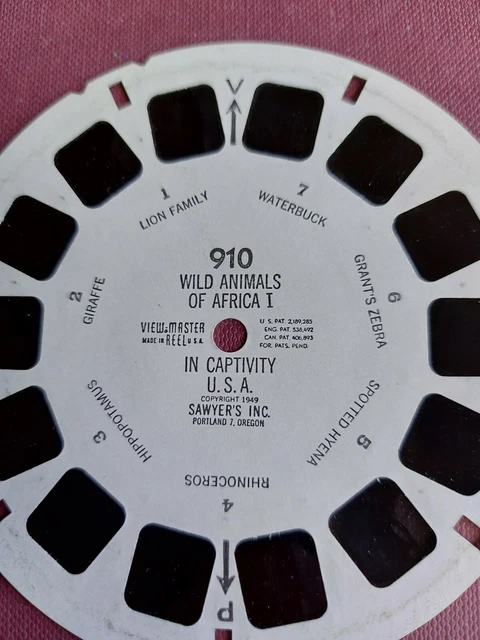 VIEWMASTER WILD ANIMALS Africa Captivity USA 1949 Reel 910 Combine ...