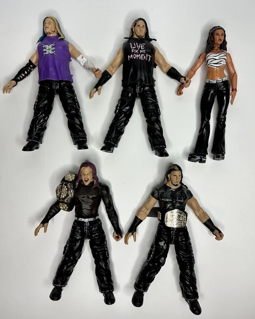 WWE / WWF Hardy Boyz & Lita Jakks Team Xtreme Action Figure Lot $90.00 ...