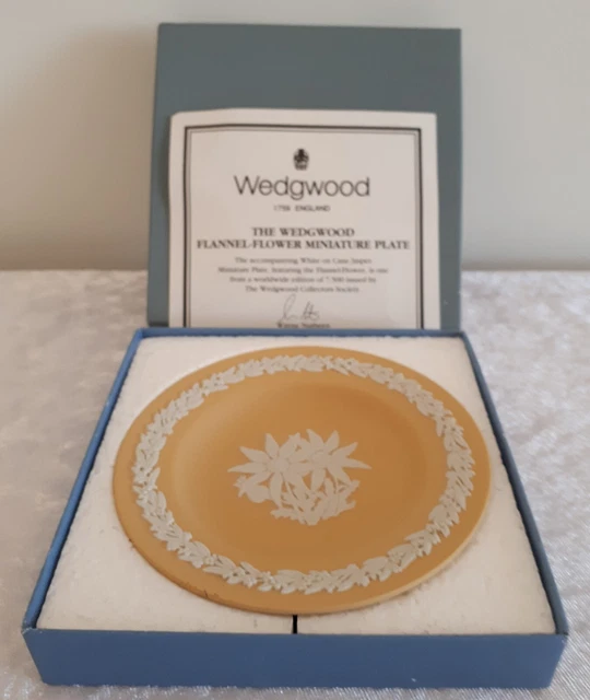 VINTAGE WEDGWOOD Jasperware "Flannel Flower" White/Cane 11Cm Plate. $39 ...