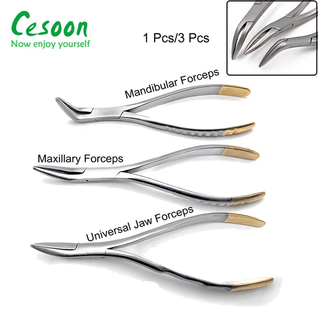 DENTAL EXTRACTION FORCEPS Residual Root Curved Minimally Invasive ...