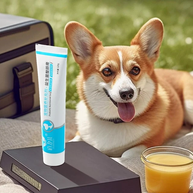 PRO-KOLIN FOR DOGS and Cats Probiotic 120g Paste M2M6 D5S6 $22.41 ...