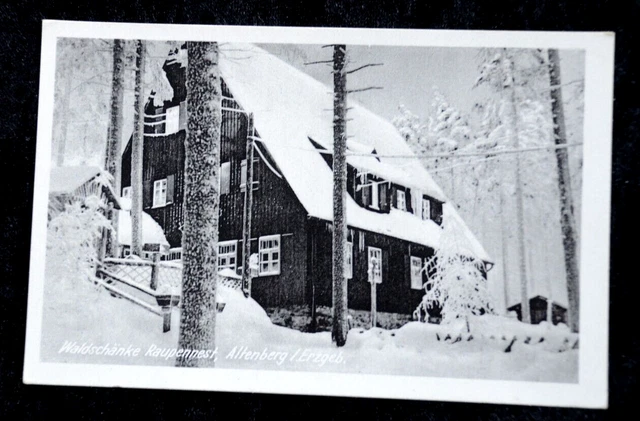 63582 AK WALDSCHÄNKE Raupennest Altenberg Erzgebirge 1930 Max Nacke ...
