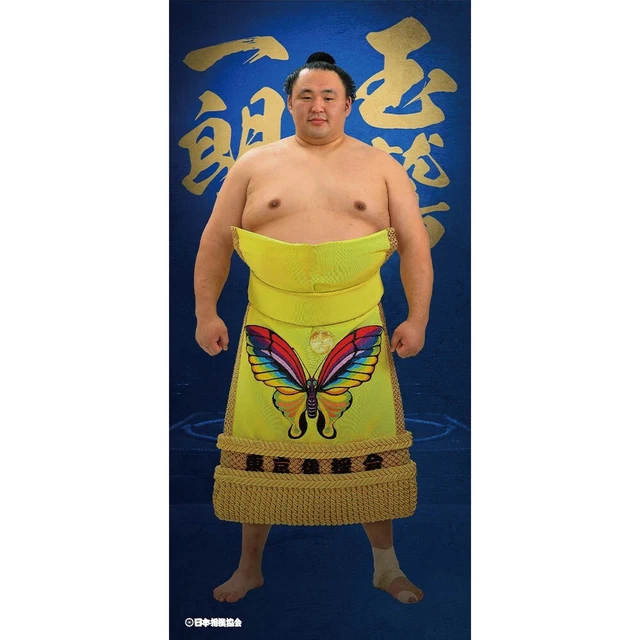 PRE-ORDER SUMO WRESTLER Rikishi TAMAWASHI Big size Poster 47x100cm, 18 ...