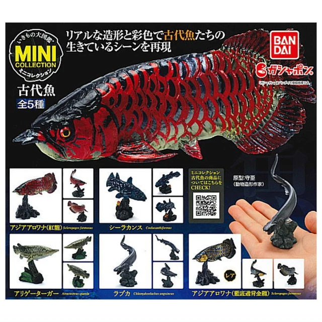 IKIMONO ENCYCLOPEDIA MINI Collection Ancient Fish Capsule Toy 5 Types ...