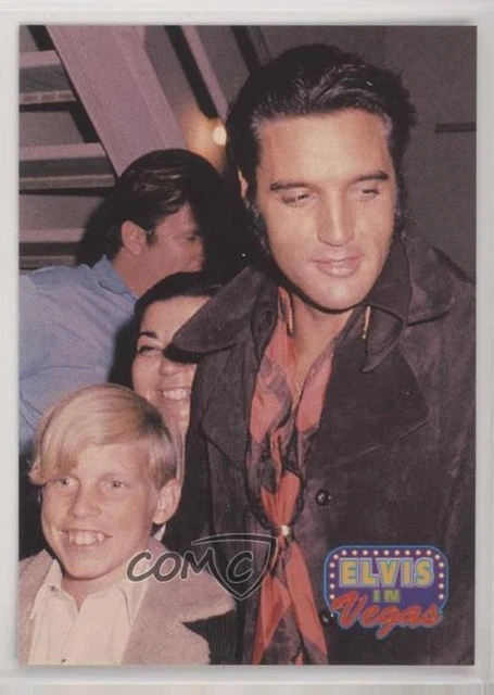 1992 THE RIVER Group Elvis Collection Elvis Presley #456 1z4 EUR 2,14 ...