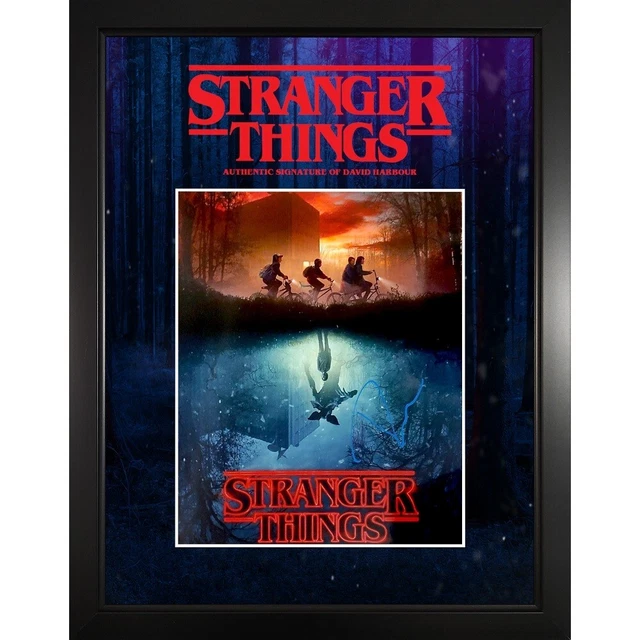DAVID HARBOUR STRANGER Things TV Actor Custom Framed Signed Autograph ...