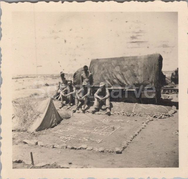 FOTO, PANZER GR. Afrika, (DAK), Lkw mit Komplett Tarnung, Wüste (MJ-59 ...