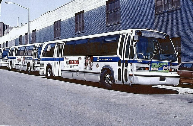 ORIGINAL KODACHROME SLIDE Nyc Bus 1985 Gm Rts #3954, 1986 Rts #4402 Kb ...