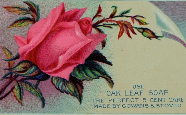 FORSYTH & SPAULDING Dry Goods Gowan & Stover Oak-Leaf Soap Red Rose ...