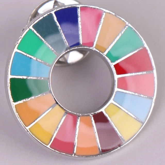 ENAMAL 17 COLORS Sustainable Development Goals Brooch United Nations ...