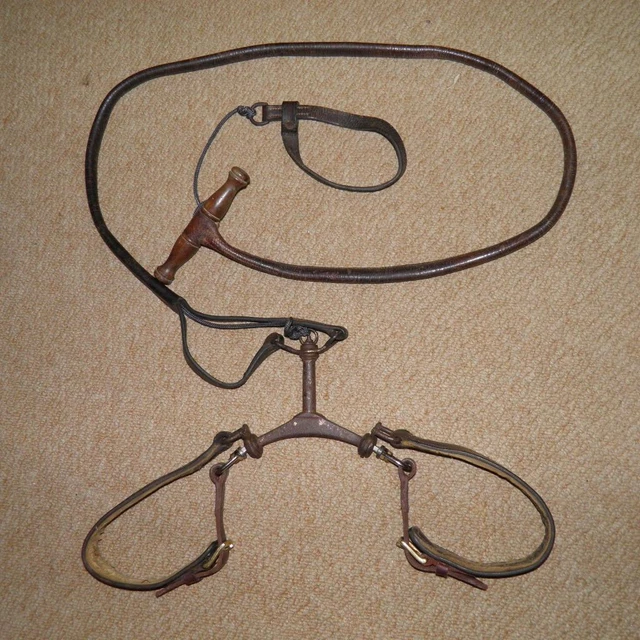 ANTIQUE LEATHER DOUBLE Quick Release Coursing Slip Lead - Greyhound ...