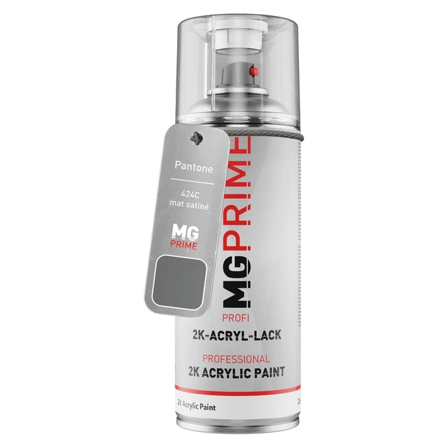 PANTONE 424C GREY mat satiné acrylique bombe aérosol 2C 400ml séchage ...