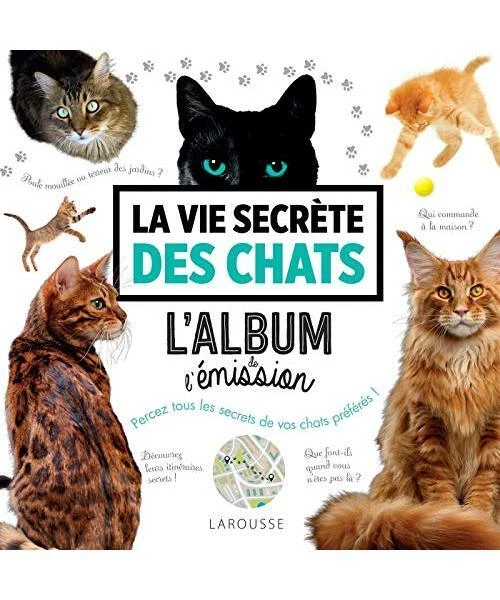 LA VIE SECRÈTE des chats - L'album de l'émission, Barlerin, Laetitia ...