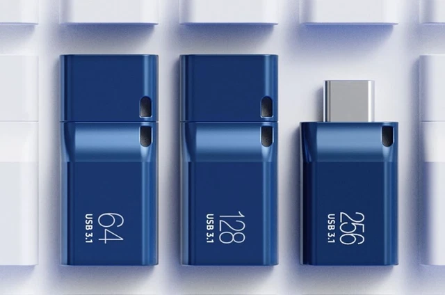 SAMSUNG USB TYPE-C 64 GB 128 GB 256 GB USB chiavetta di memoria penna ...